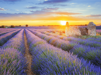 12 Day Itinerary to tour Provence | Dragonfly Traveller